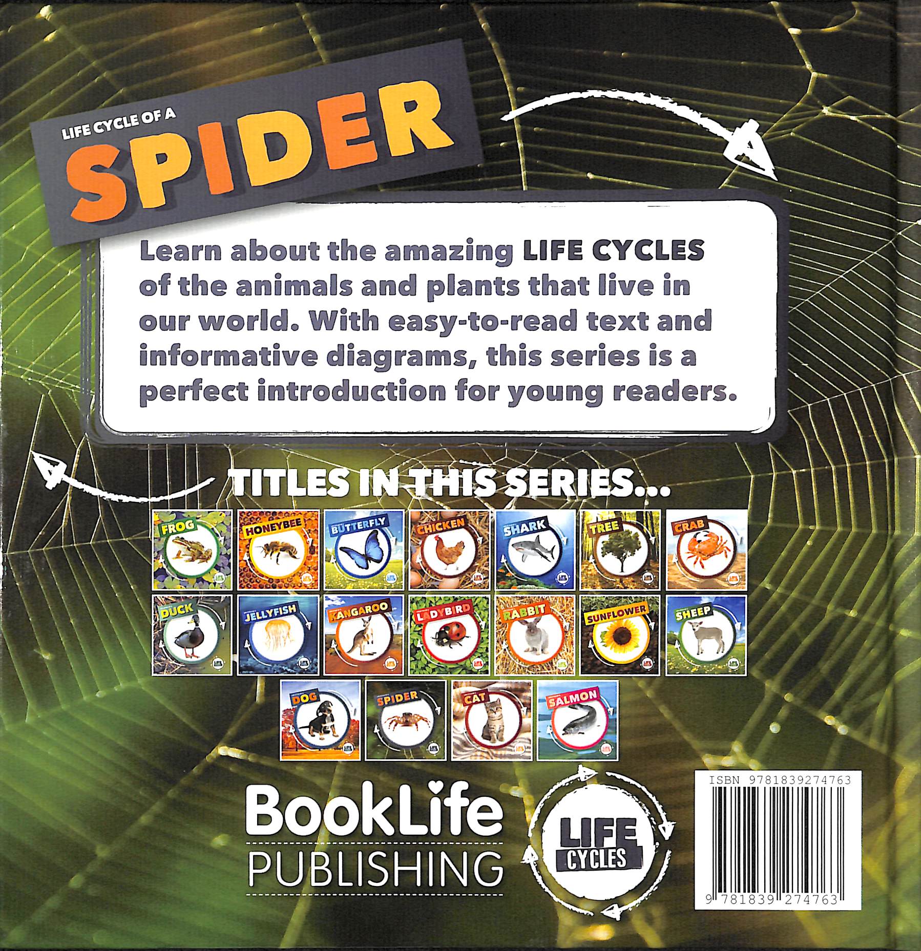 Buy Life Cycle Of A Spider Book at Easons