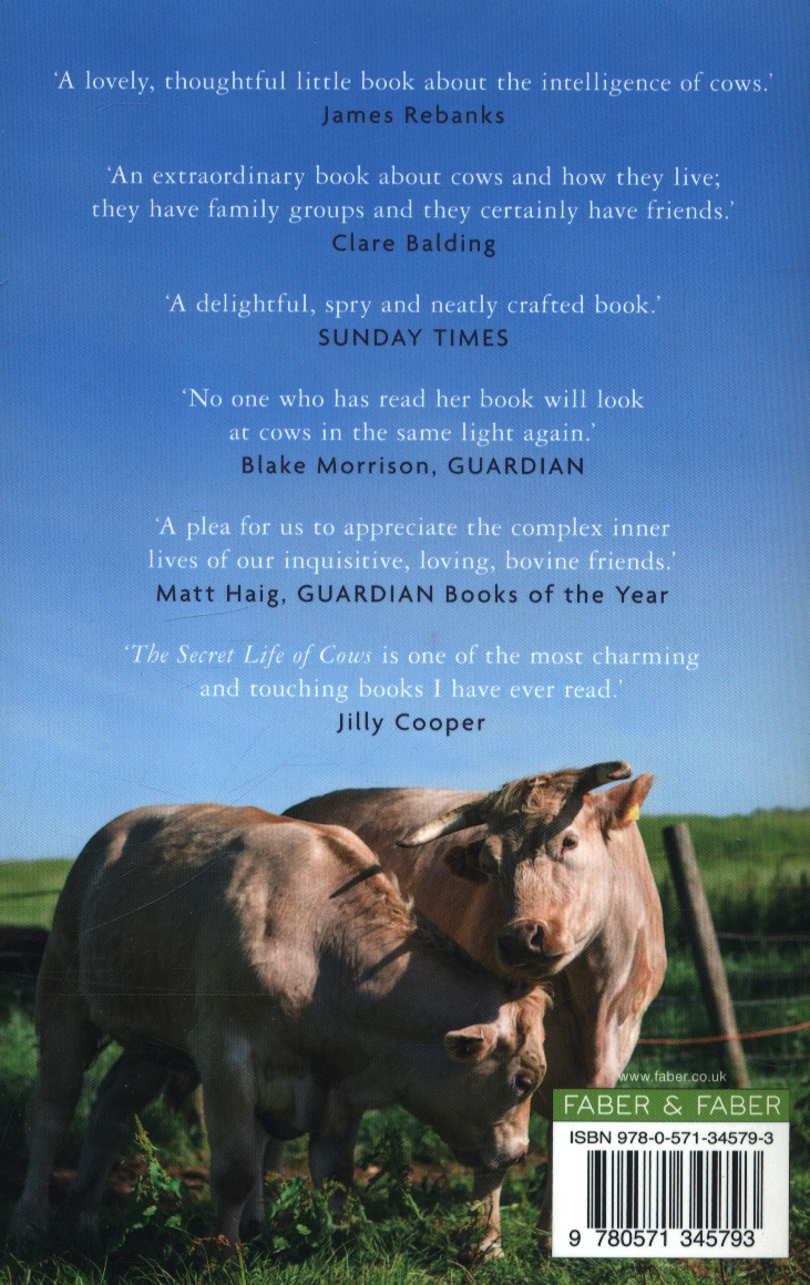 Buy The Secret Life Of Cows Book at Easons