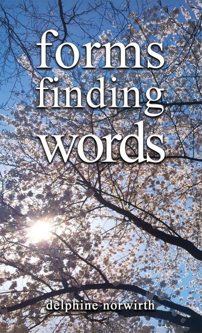 Buy Forms Finding Words Book at Easons